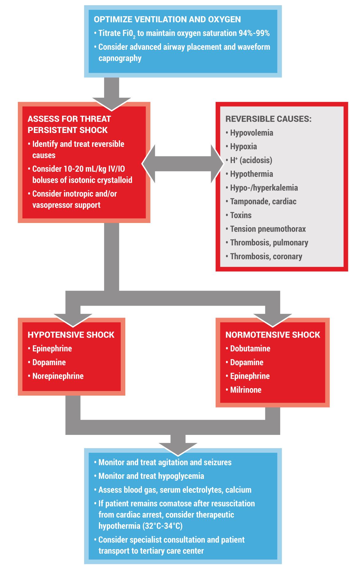 Resuscitation Algorithm