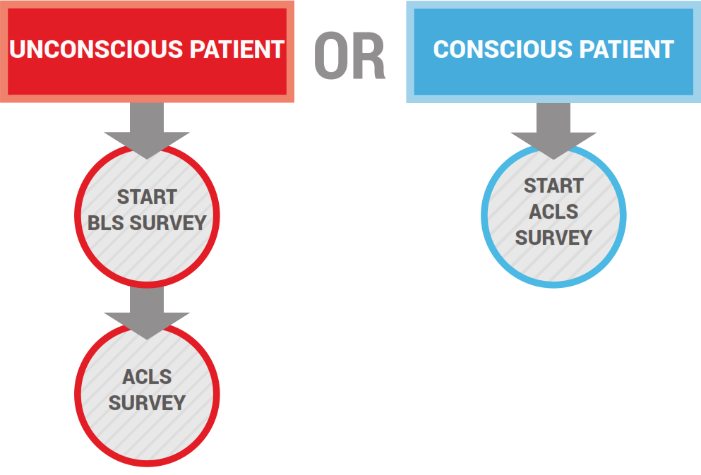 (ACLS) First Assessment