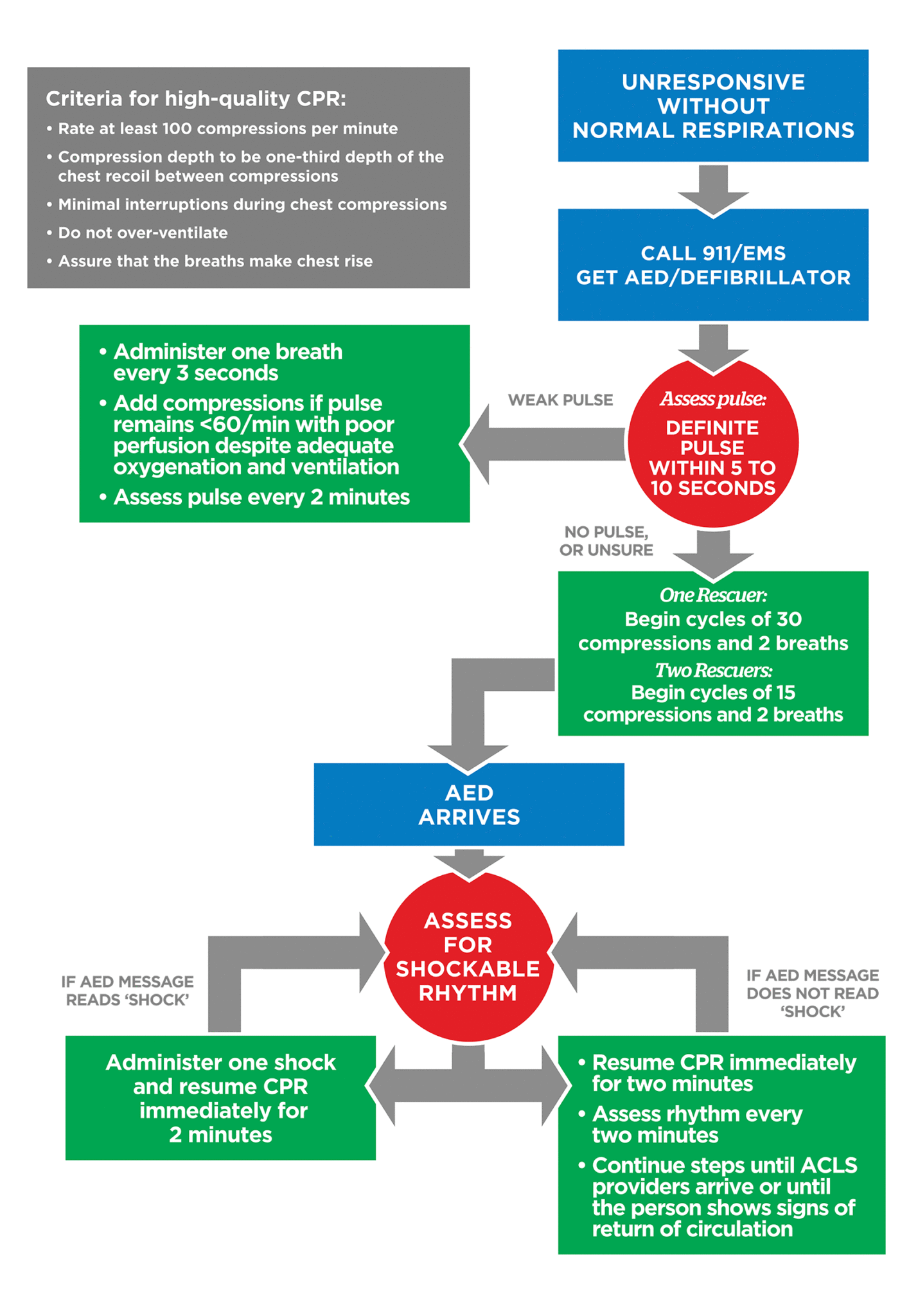 Pediatric Basic Life Support (BLS) Algorithm Guide