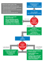 Pediatric Basic Life Support (BLS) Algorithm Guide