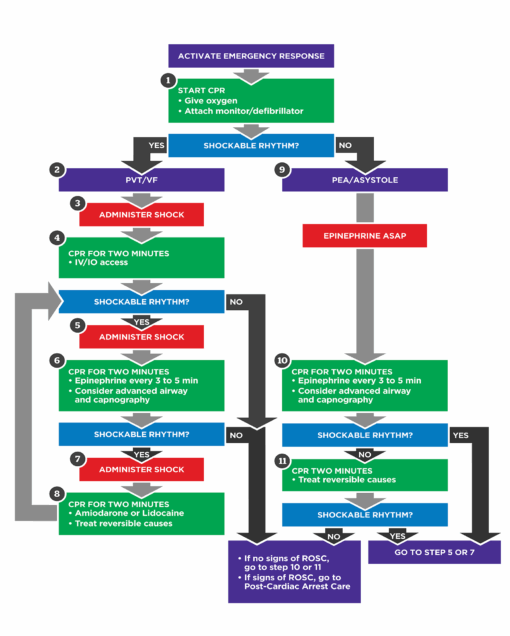 ACLS Adult Cardiac Arrest Algorithm