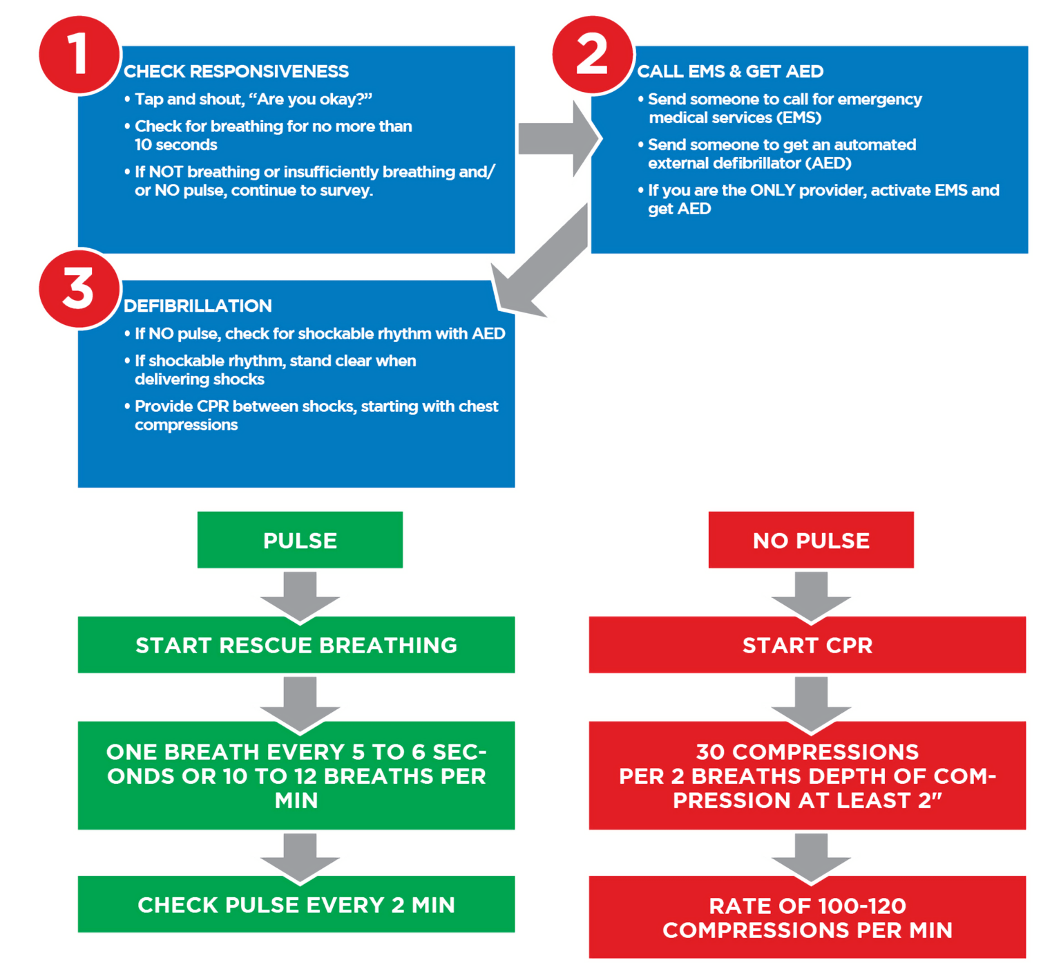 ACLS Respiratory Arrest Guide