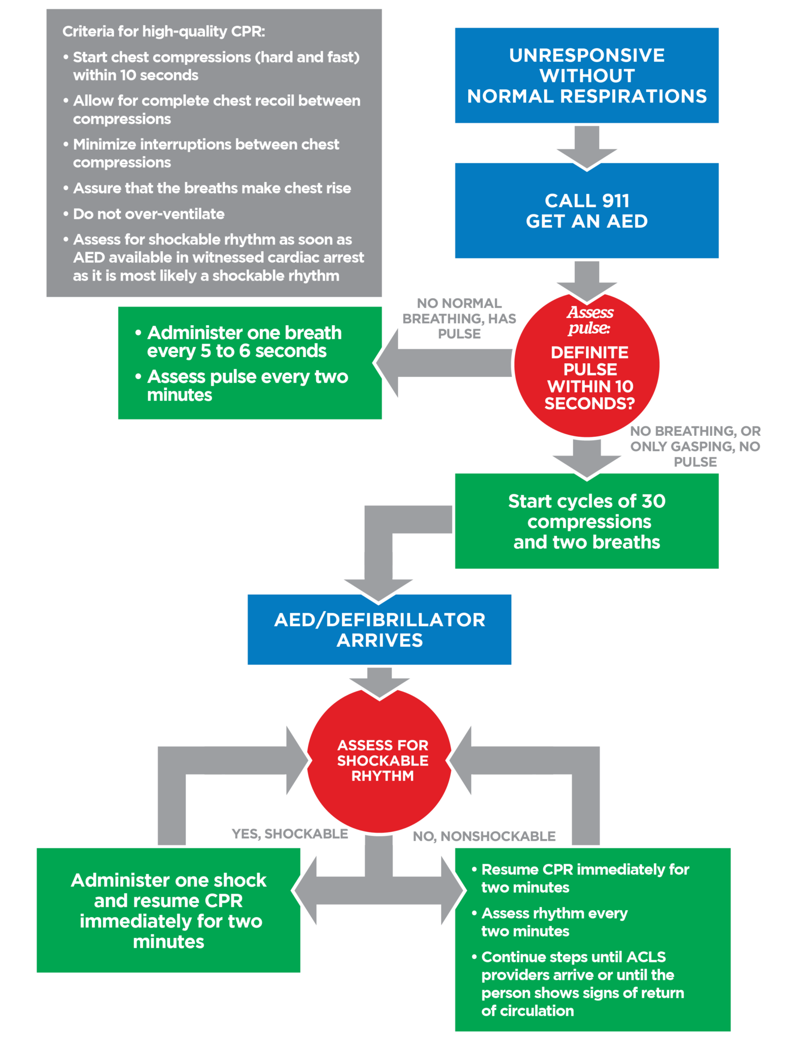 Adult Basic Life Support (BLS) Algorithm