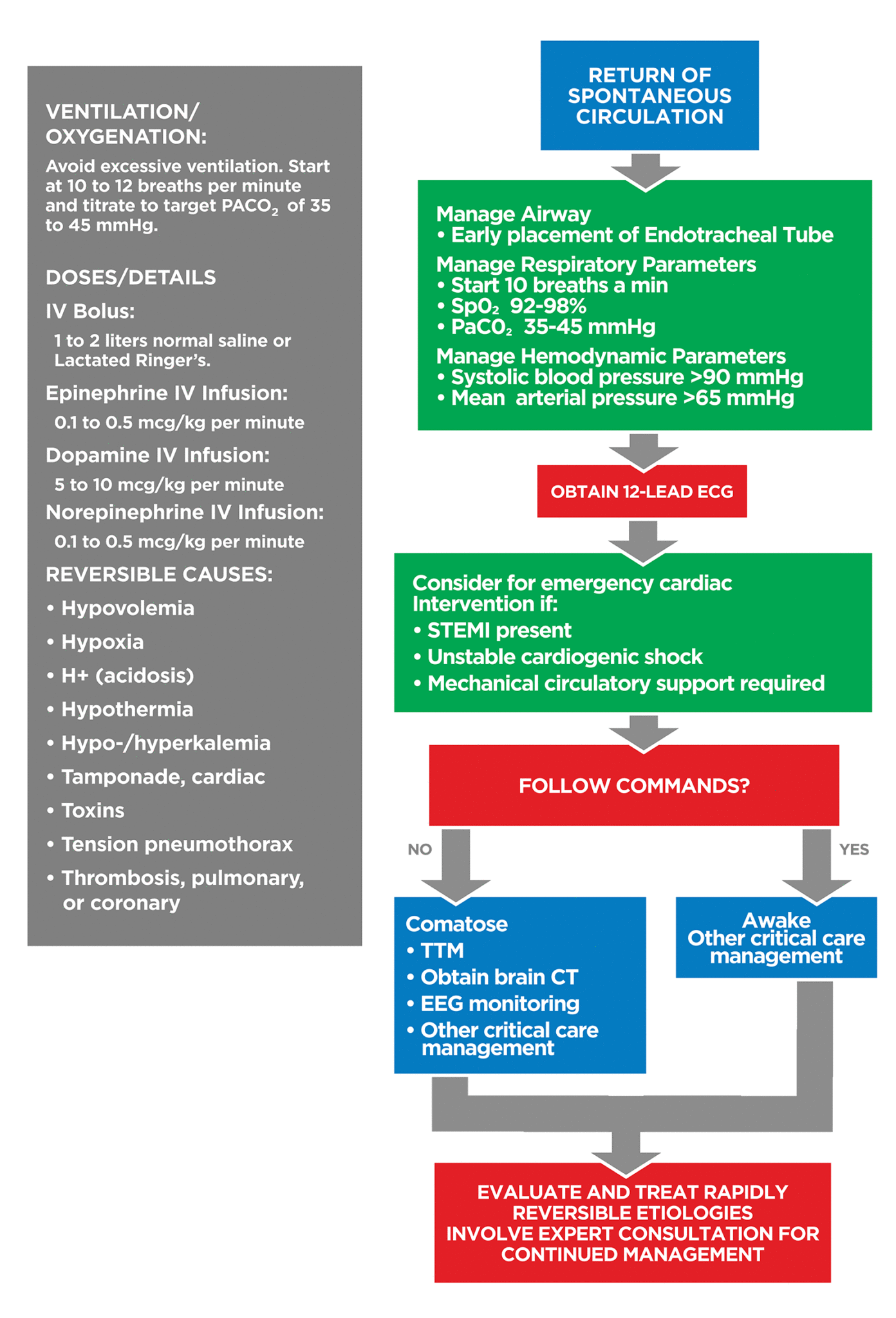 ACLS Adult Immediate Post-Cardiac Arrest Care Algorithm