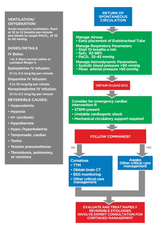 ACLS Adult Immediate Post-Cardiac Arrest Care Algorithm