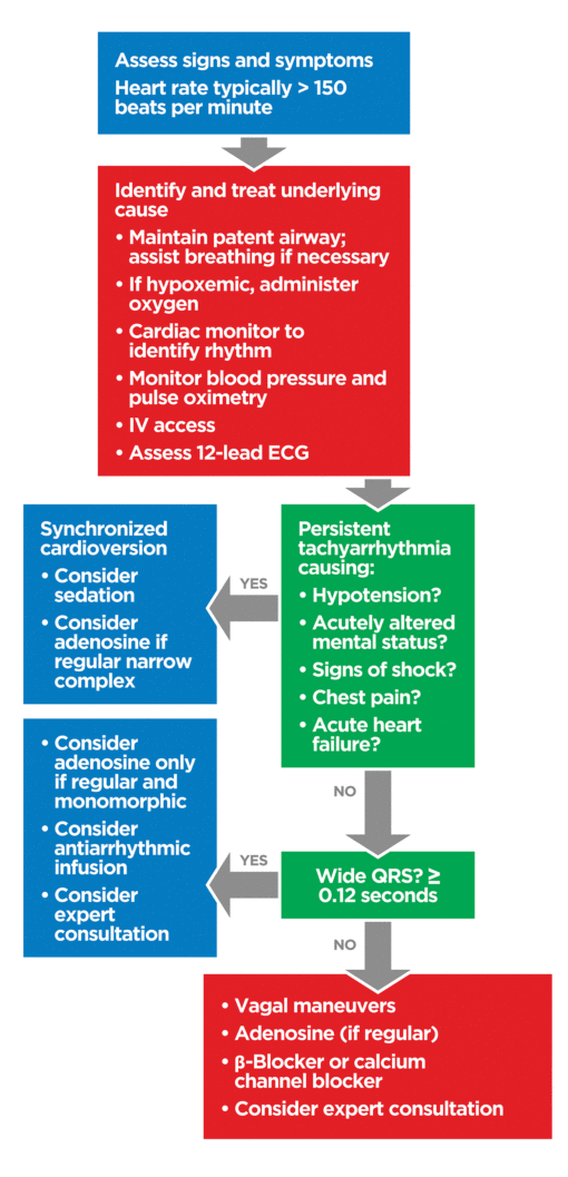 ACLS Adult Tachycardia with Pulse Algorithm
