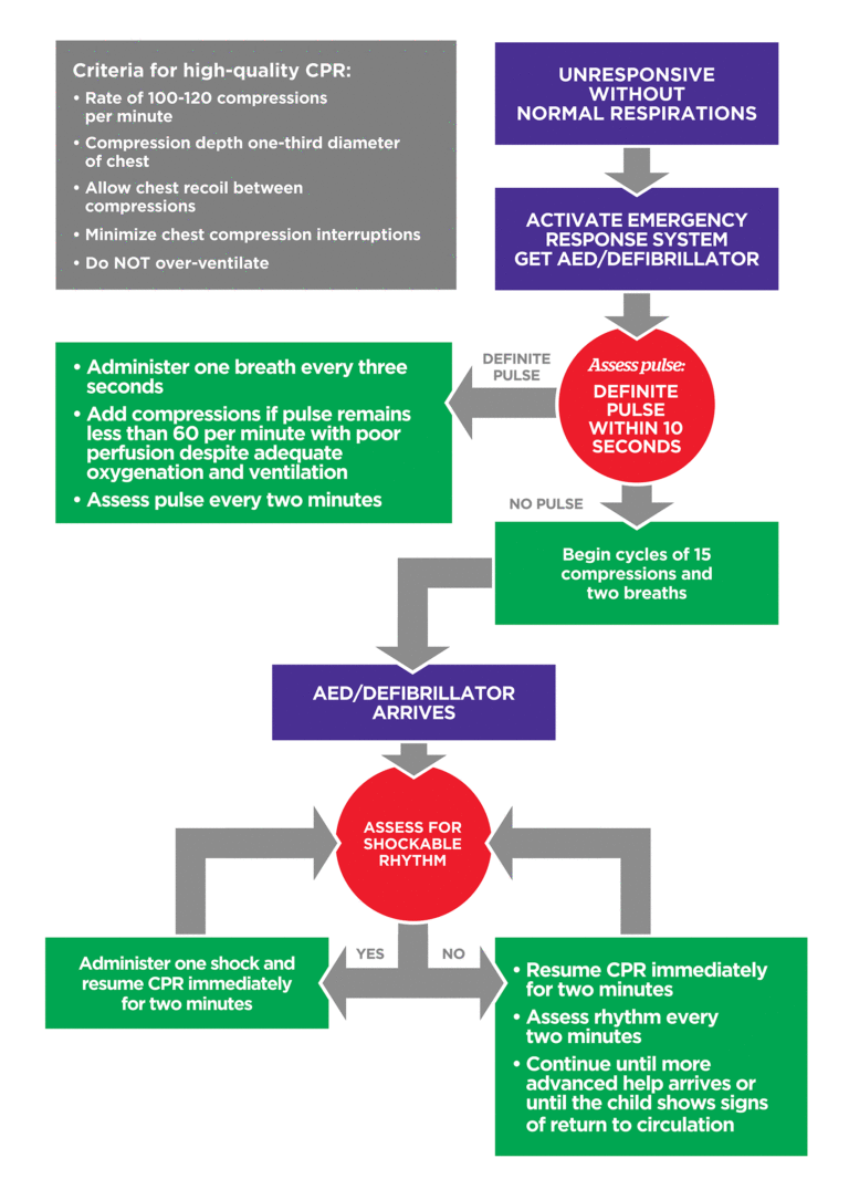 Pediatric Advanced Life Support (PALS): BLS Algorithm