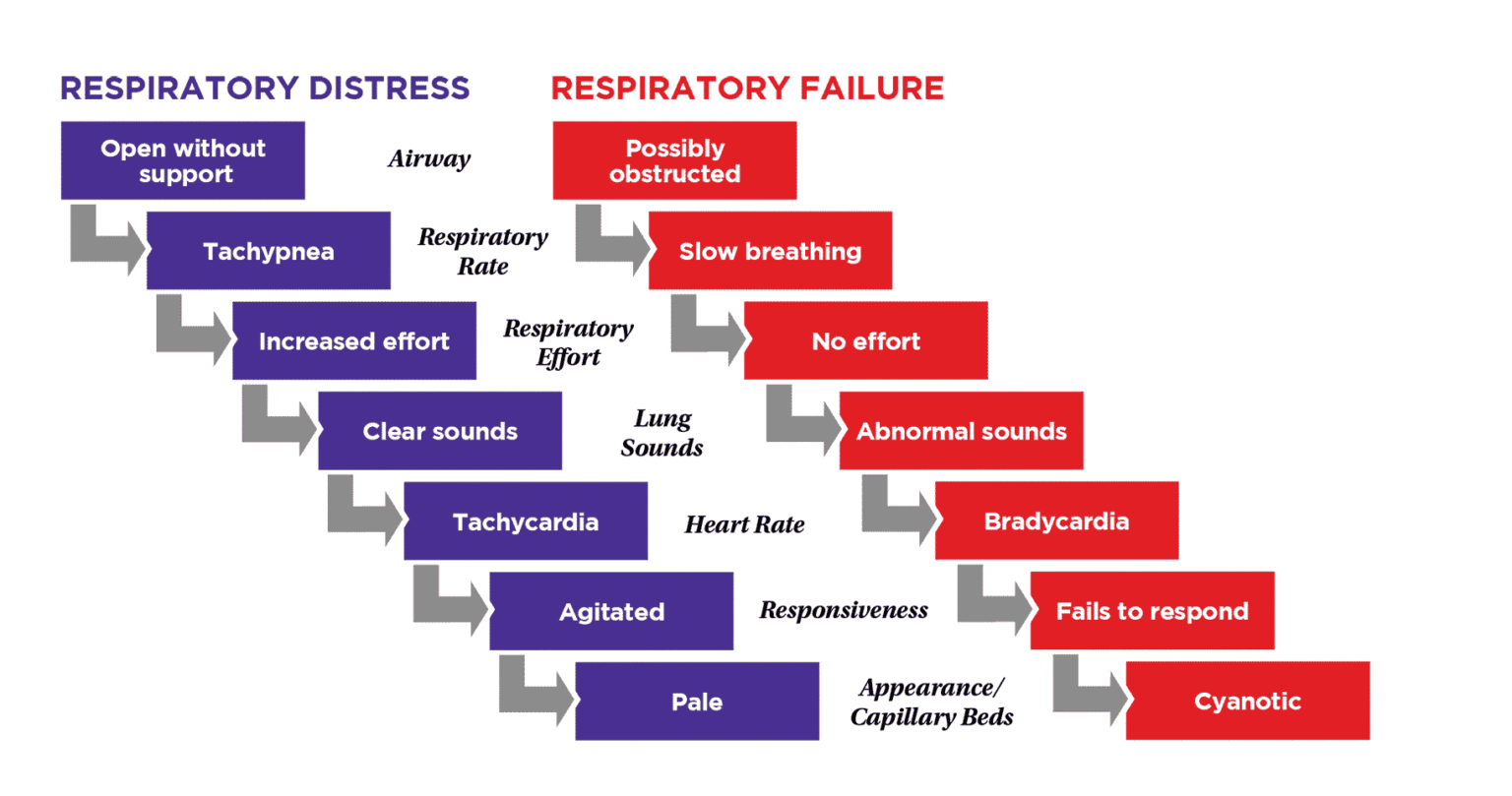 PALS : Respiratory - Recognize