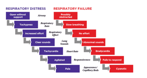 PALS : Respiratory - Recognize