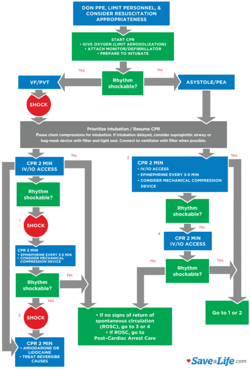 Adult Cardiac Algorithm for Suspected or Confirmed COVID-19 Patients